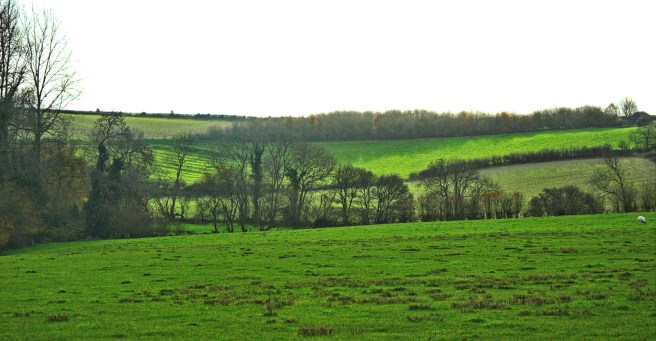 Compton Valence – John Martin of Evershot