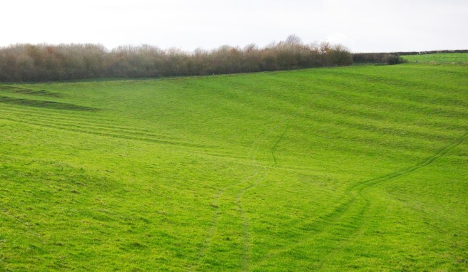 Compton Valence – John Martin of Evershot