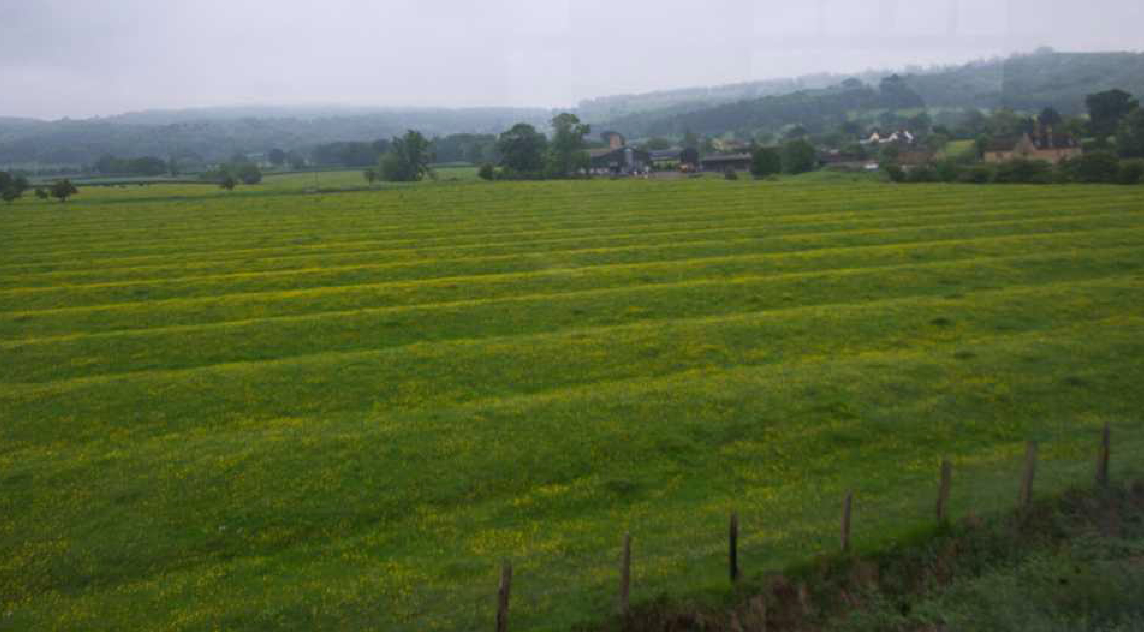 Ridge and Furrow – John Martin of Evershot