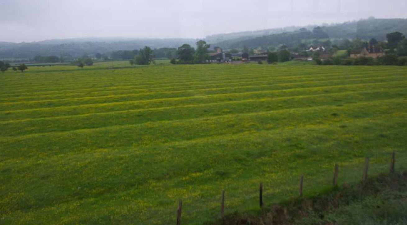 The Open Field System – John Martin of Evershot