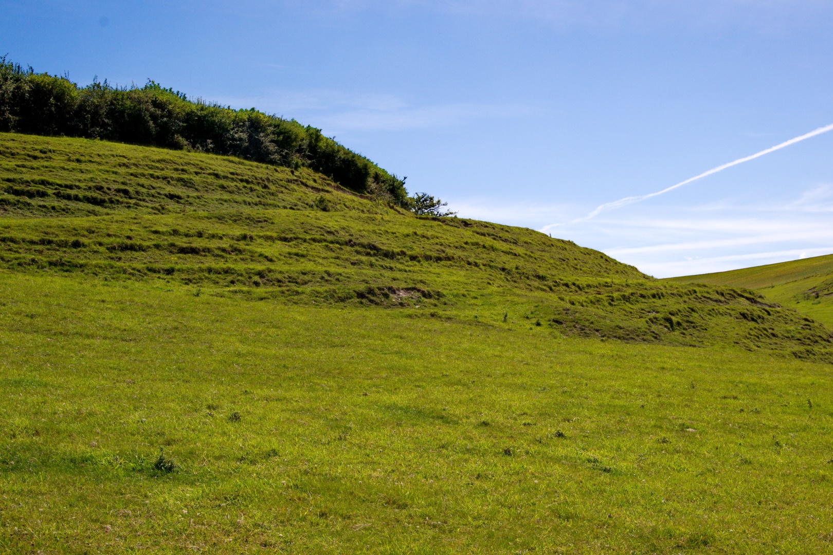 Ridge and Furrow – John Martin of Evershot